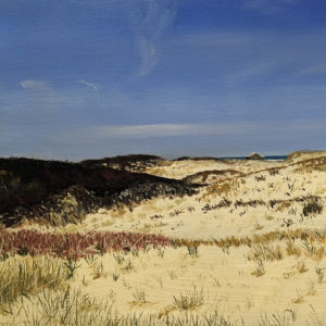 John Mertz featured artist at Chapman Gallery