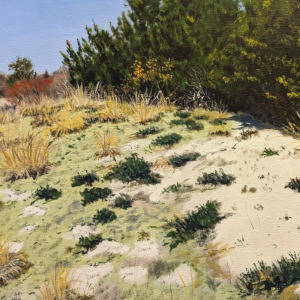 John Mertz featured artist at Chapman Gallery
